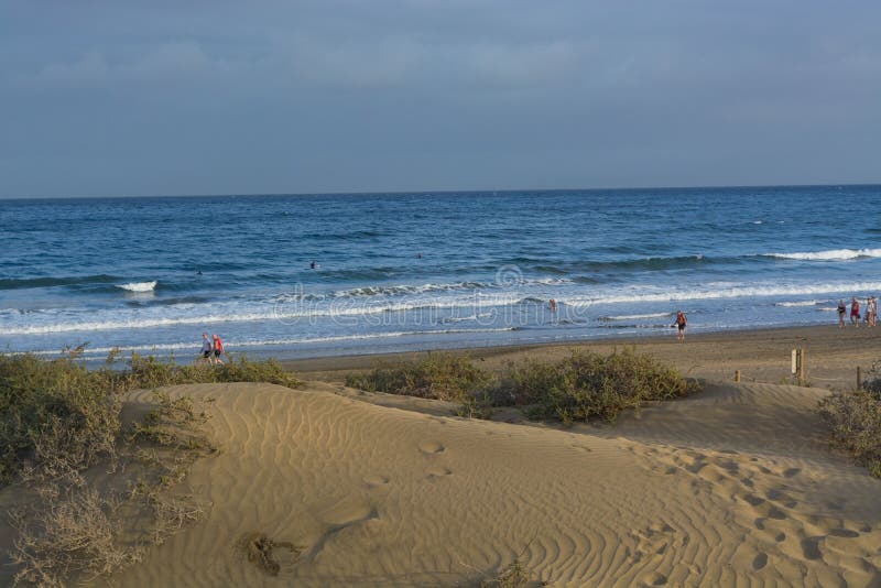 Coast dunes beach sea stock image. Image of landscape - 245083007