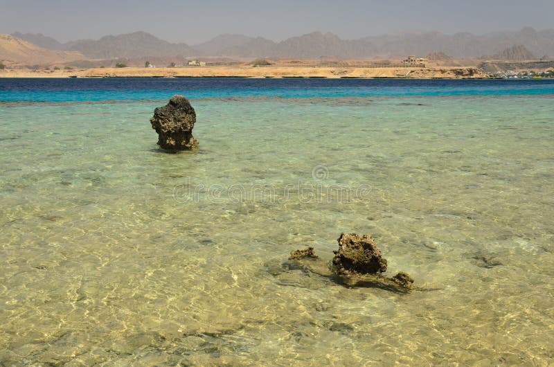 Coast in Egypt. Red Sea stock image. Image of sand, sharm - 56632925