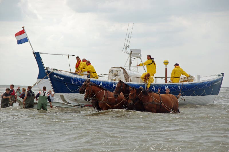 Coast Guard in Netherlands editorial image. Image of military - 24775455