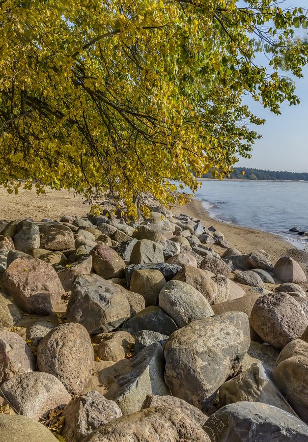 The Coast of the Gulf of Finland Stock Image - Image of reflection ...