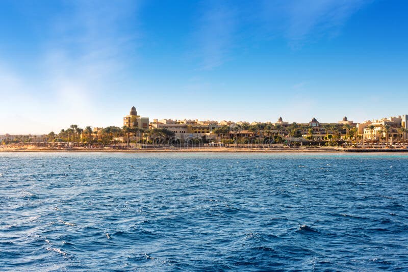 Summer Egypt Red Sea Coral Fish Stock Photo - Image of scuba ...