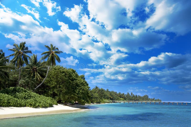 Coast of Indian ocean stock image. Image of tourism, leisure - 7929179