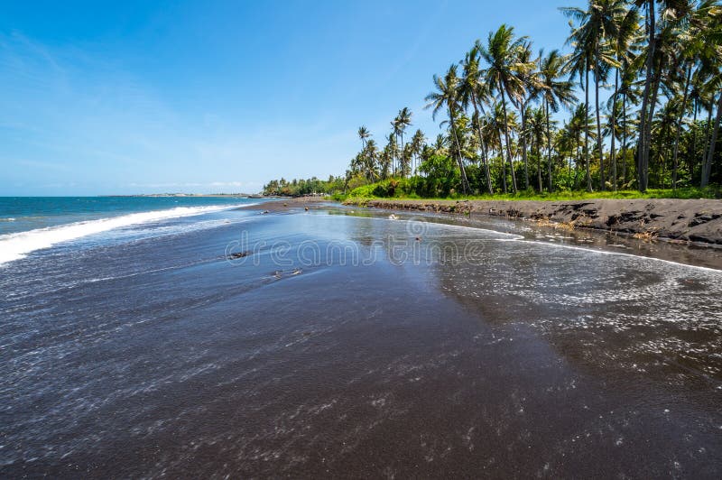 The Coast of Indian Ocean on Island Java Stock Photo - Image of palm ...