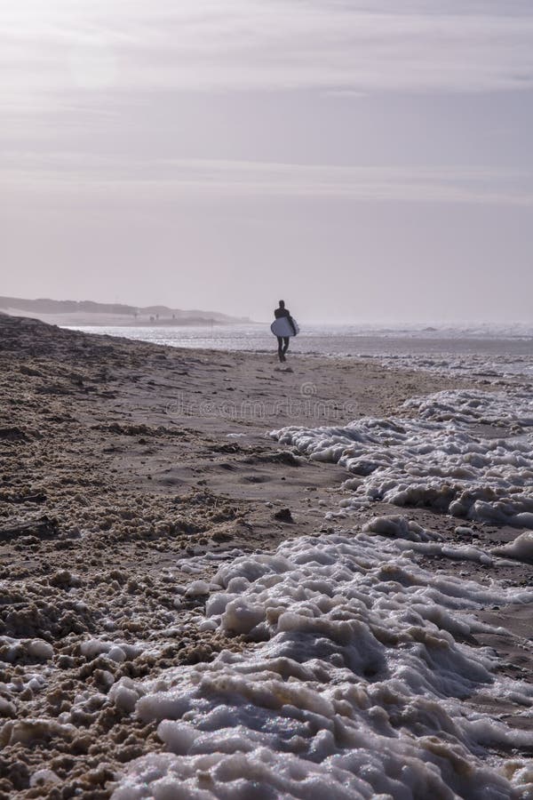 Coast line of the hague stock photo. Image of texture - 186119996