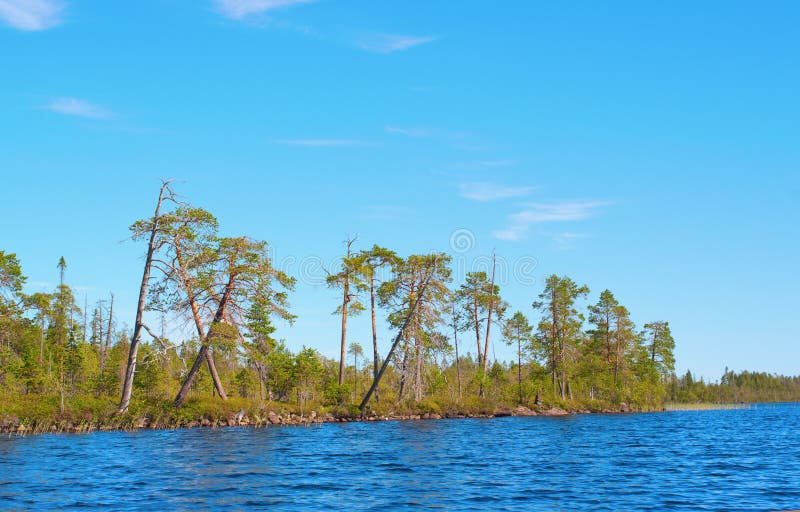 Coast of northern lake stock image. Image of grow, island - 17968017