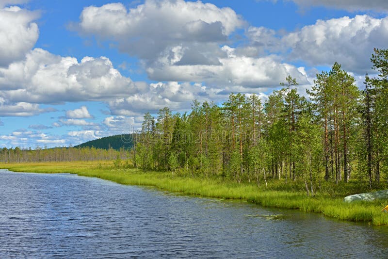 Coast of northern river stock photo. Image of karelia - 86432438