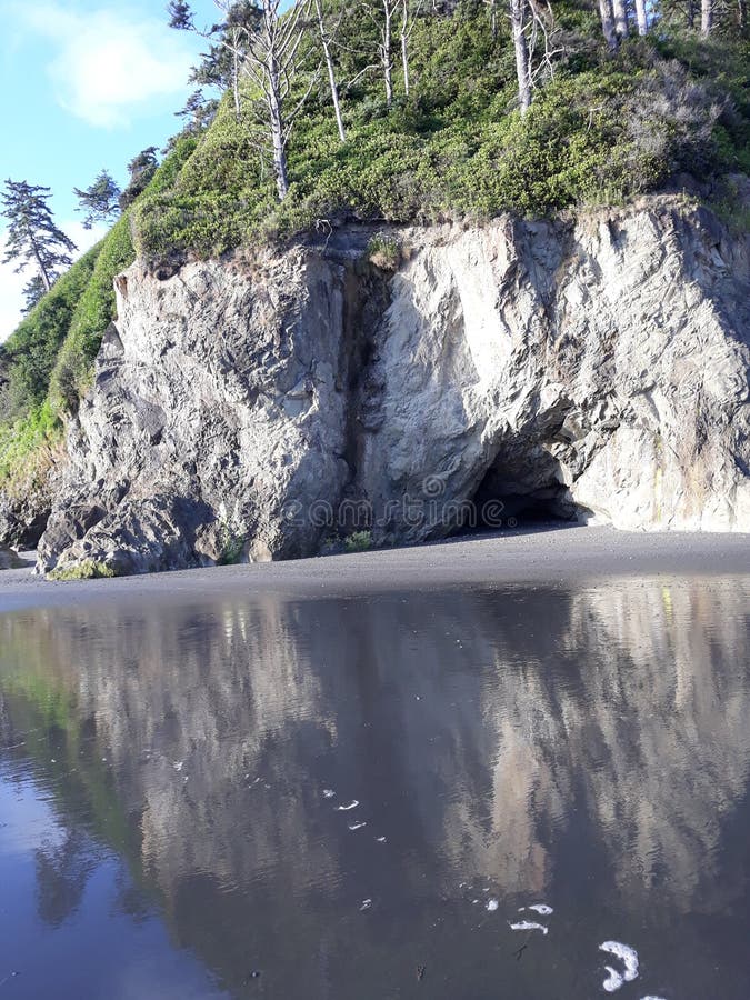 Coast Ocean Waves Trees Beach Rocks Water Cave Sand Sky Washington ...
