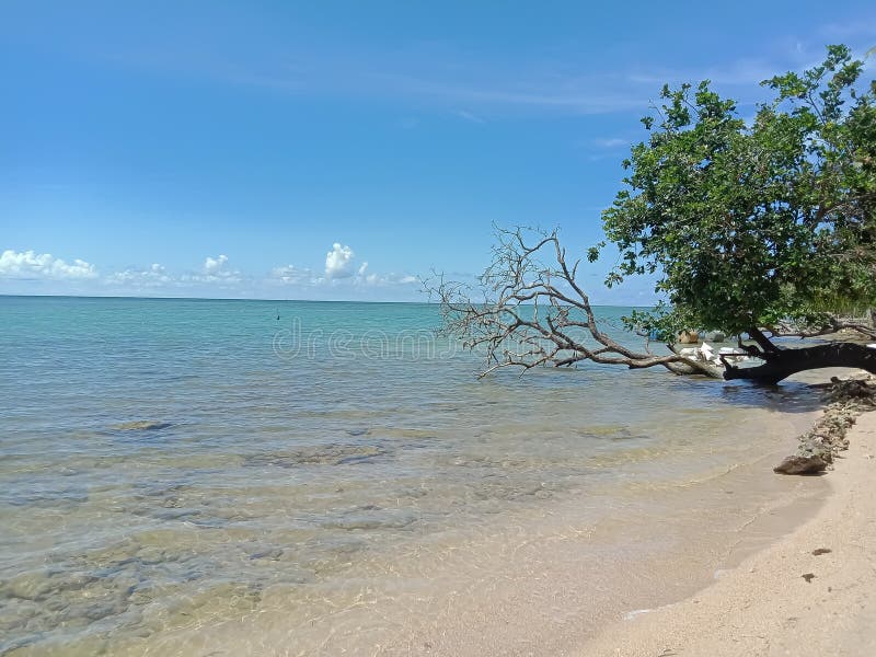 Kangean Islands Stock Photos - Free & Royalty-Free Stock Photos from ...