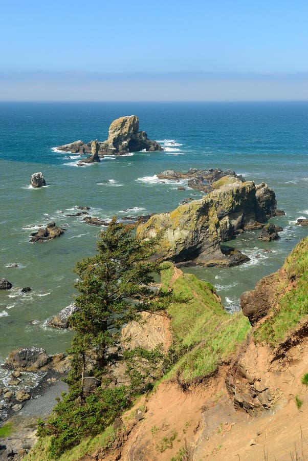 The Coast of the Pacific Ocean. USA. Oregon Stock Image - Image of ...