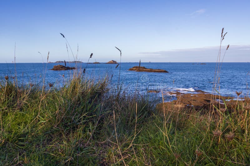 Coast of the region sea stock image. Image of bell, blossom - 357905113