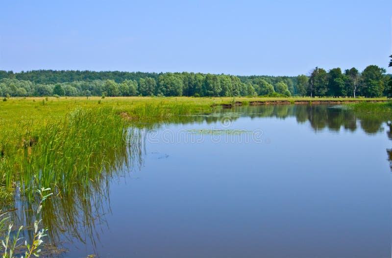 Coast of the river Utka stock image. Image of beach, holiday - 2746217