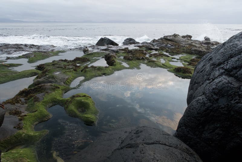 Coast, Rock, Shore, Promontory Picture. Image: 112491737