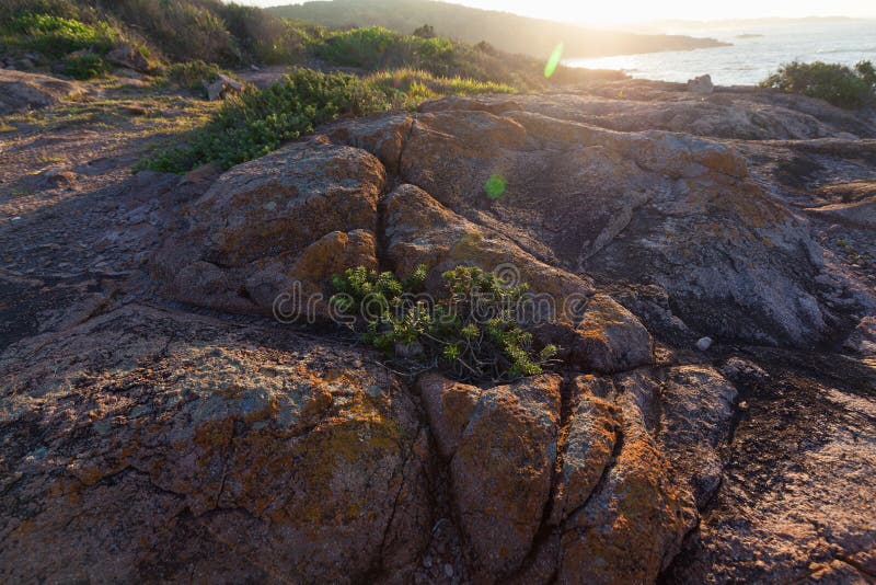 Coast rock surface stock image. Image of floor, nature - 74266763