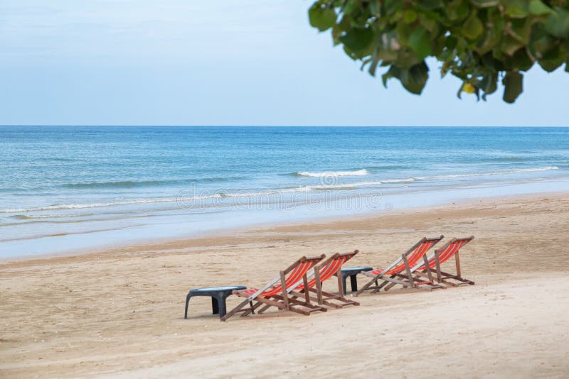Coast sea beach tree stock photo. Image of beautiful - 80329648
