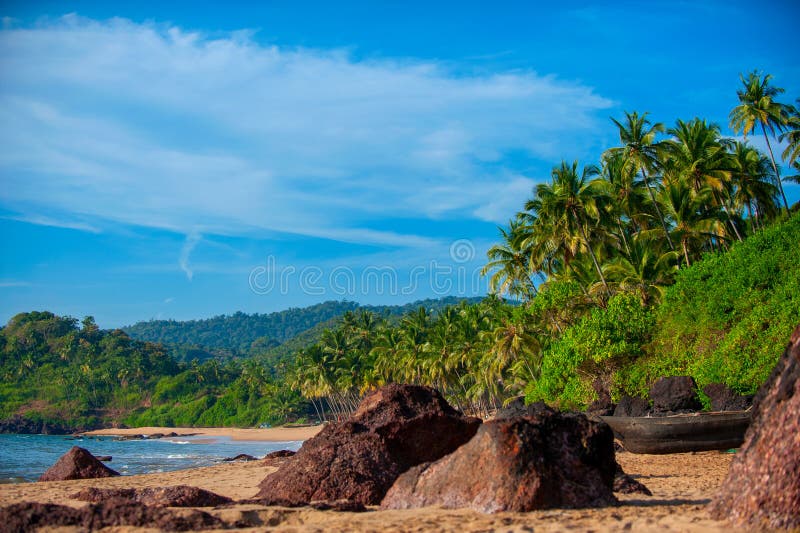 Coast of the Sea with Palm Trees on Goa Stock Image - Image of coast ...