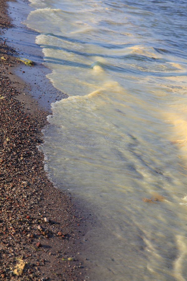 Coast sea water stock image. Image of wildlife, ecology - 32607821