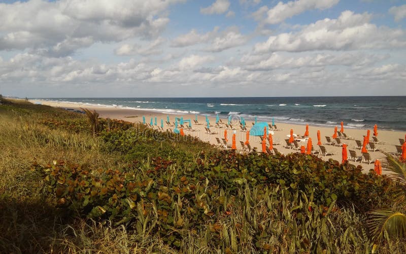 Coast, Shore, Beach, Sea stock image. Image of promontory - 123469715