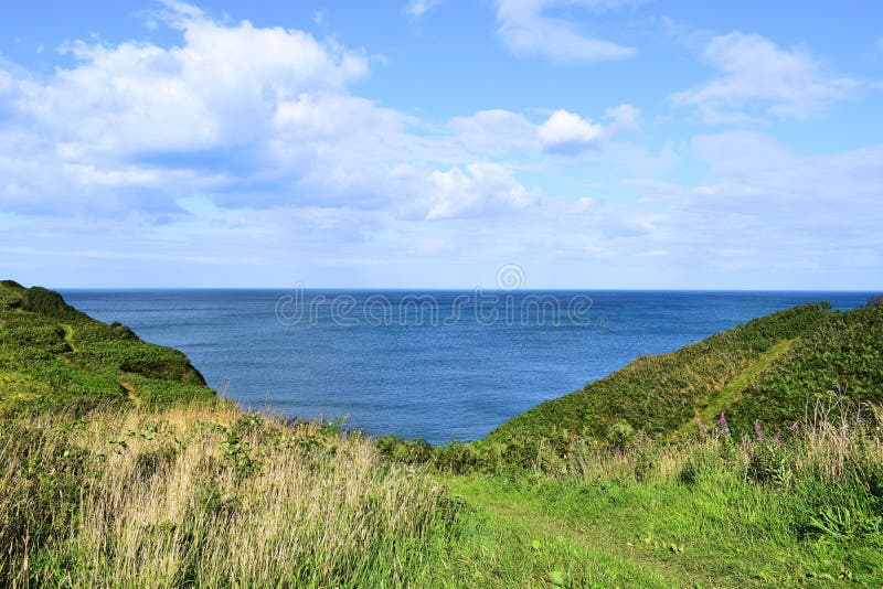 Coast, Sky, Sea, Headland Picture. Image: 133463910