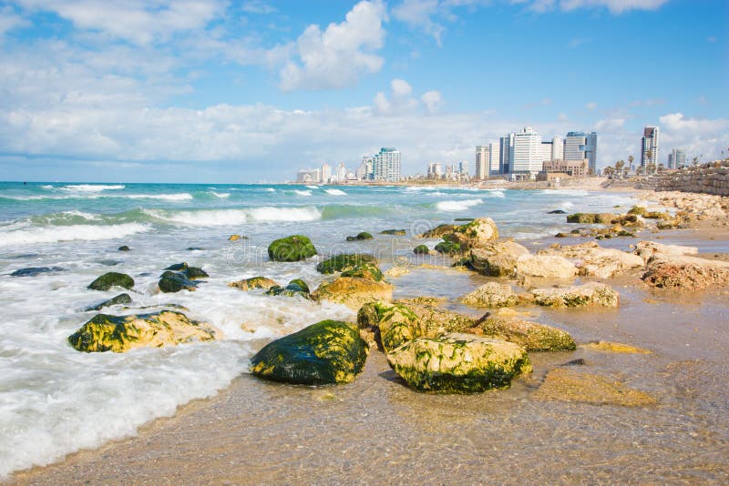 The coast of Tel Aviv stock image. Image of nature, waterfront - 51868057