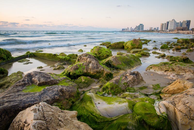 The coast of Tel Aviv editorial stock image. Image of outdoor - 67492359