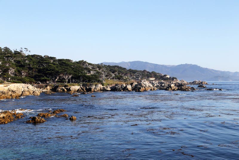 Coast view, California stock image. Image of camping - 64415449