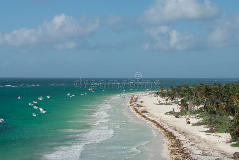 Tulum coast stock image. Image of tulum, caribbean, palms - 92680795