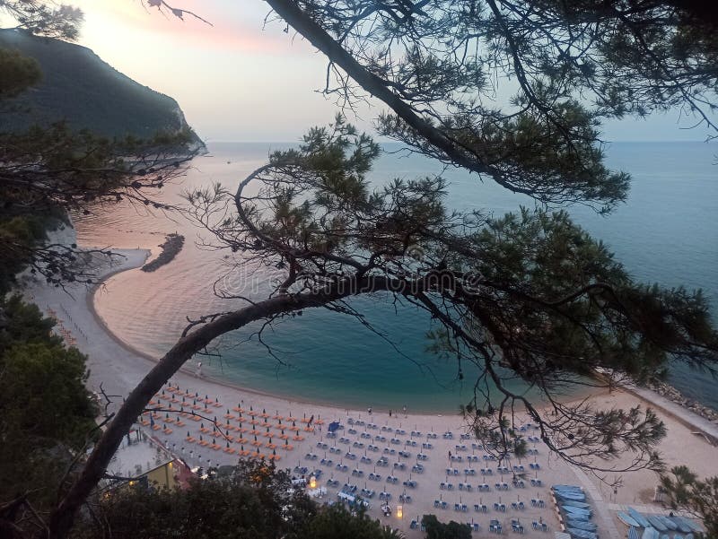 Coast water sea tree beach editorial photography. Image of mountain ...