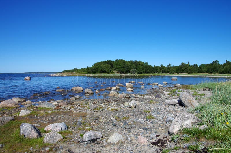 Coast of the White Sea in Solovki, Russia Stock Photo - Image of russia ...