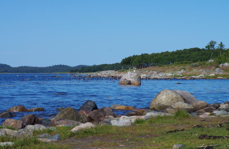 Coast of the White Sea in Solovki, Russia Stock Photo - Image of white ...
