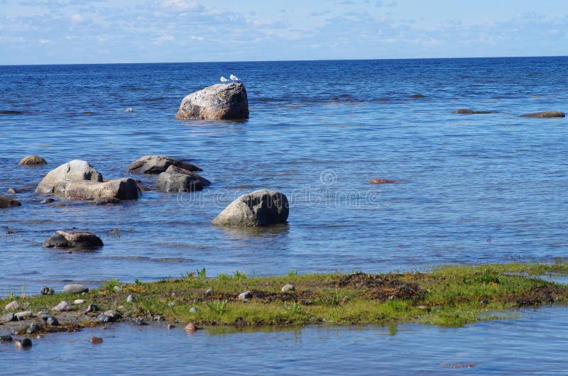Coast of the White Sea in Solovki, Russia Stock Image - Image of white ...