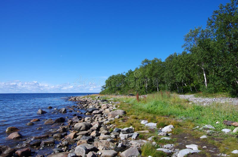 Coast of the White Sea in Solovki, Russia Stock Image - Image of ...