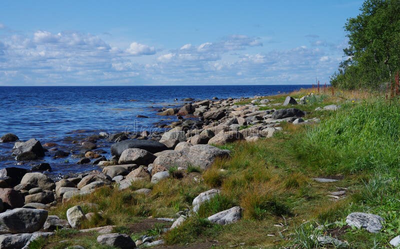 Coast of the White Sea in Solovki, Russia Stock Photo - Image of place ...