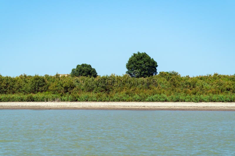 Coast of a wide flat river stock photo. Image of large - 150895380