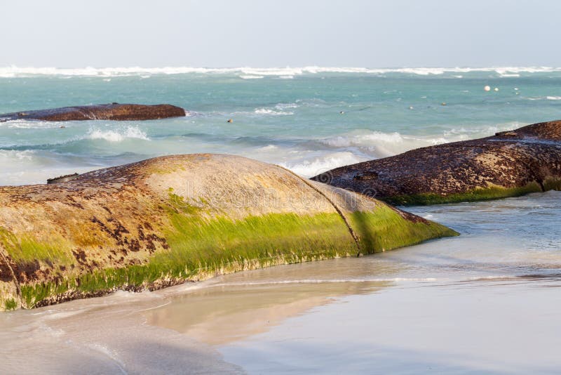 Coastal Concrete Protective Structures are on Bavaro Beach Stock Photo ...