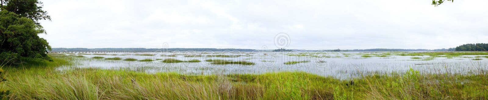1,425,594 Coastal Gergia Stock Photos - Free & Royalty-Free Stock ...