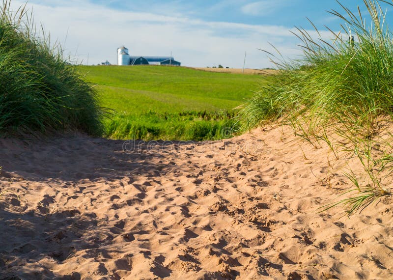 Coastal Farm Landscape stock photo. Image of farm, island - 26461960