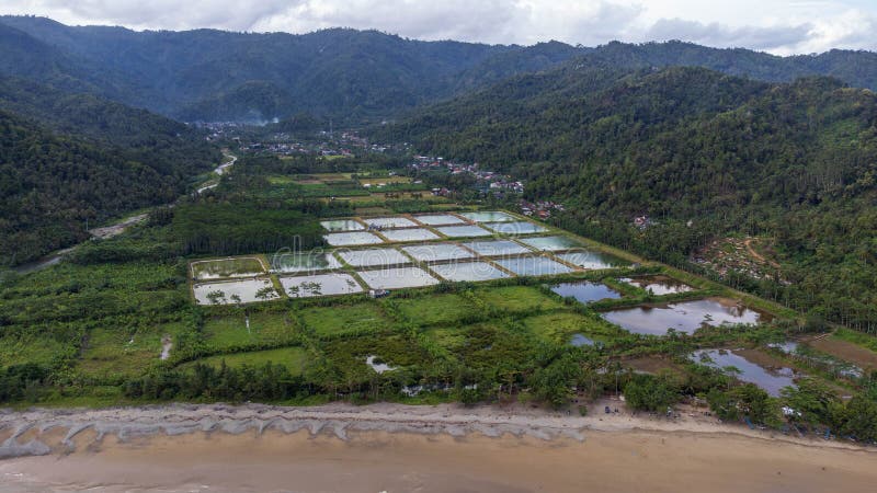 Aerial View of Coastal Fish Ponds and Green Fields at Lenggoksono Beach Stock Image - Image of ...