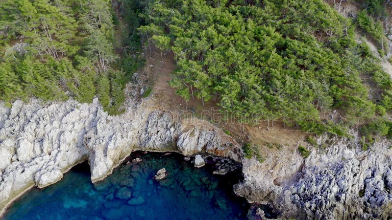 Coastal forest cliffside stock video. Video of mediterranean - 367341417