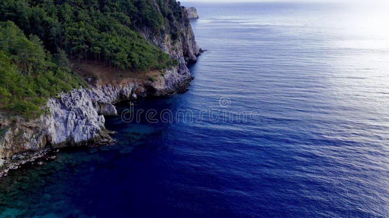 Coastal forest cliffside stock footage. Video of discovery - 367356044