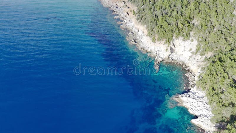 Coastal forest cliffside stock footage. Video of clouds - 367357010