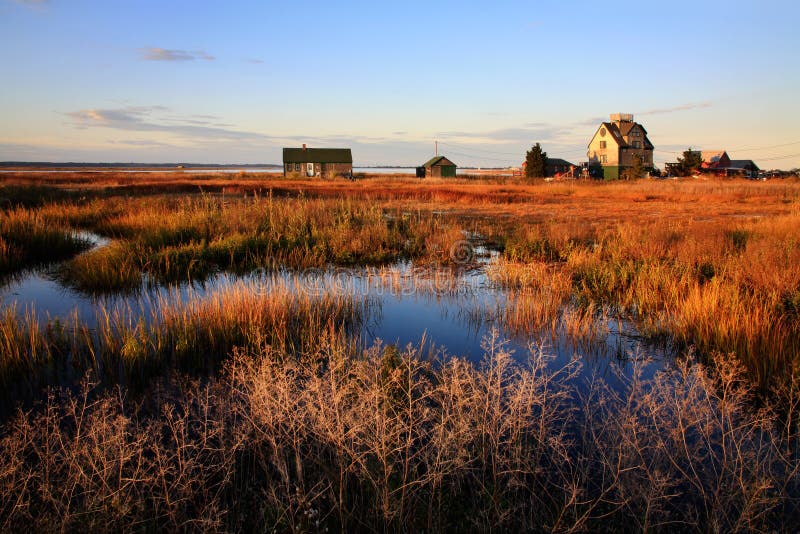Coastal Marsh stock photo. Image of quiet, atlantic, marshy - 9288852