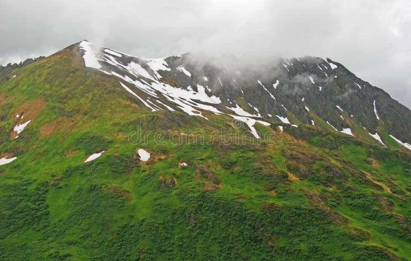 Coastal Mist in the Mountains Stock Image - Image of clouds, nature ...