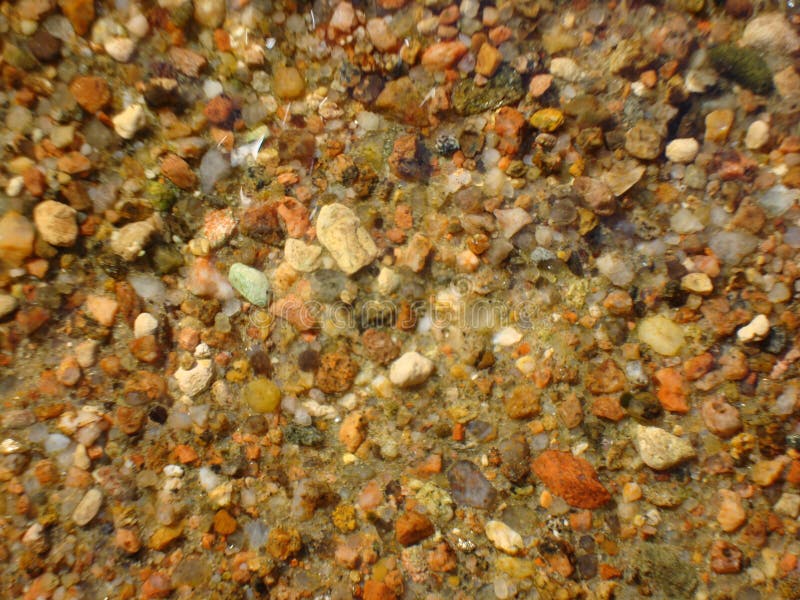 Coastal Pebbles Underwater at the Bottom of the Lake Stock Image ...