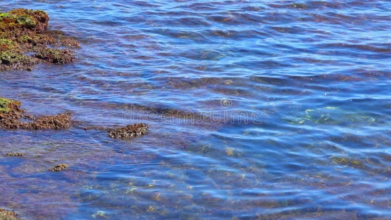 Coastal Reefs Near the Sea Shore Washed by Waves Stock Footage - Video ...