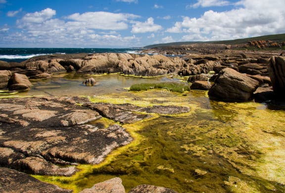 Coastal rock pools stock photo. Image of water, aquamarine - 6982588