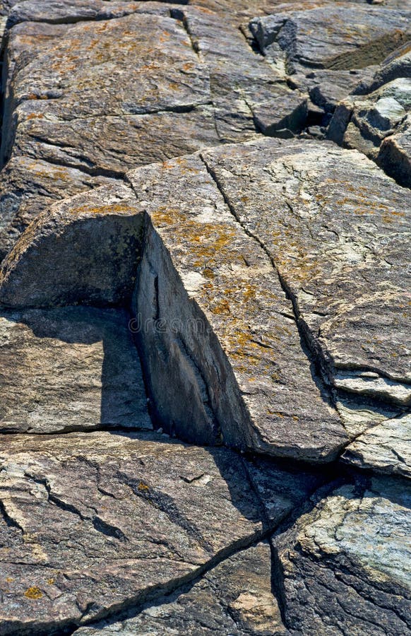 Ledge Rocks of Coastal Maine Stock Photo - Image of green, shore: 33583668