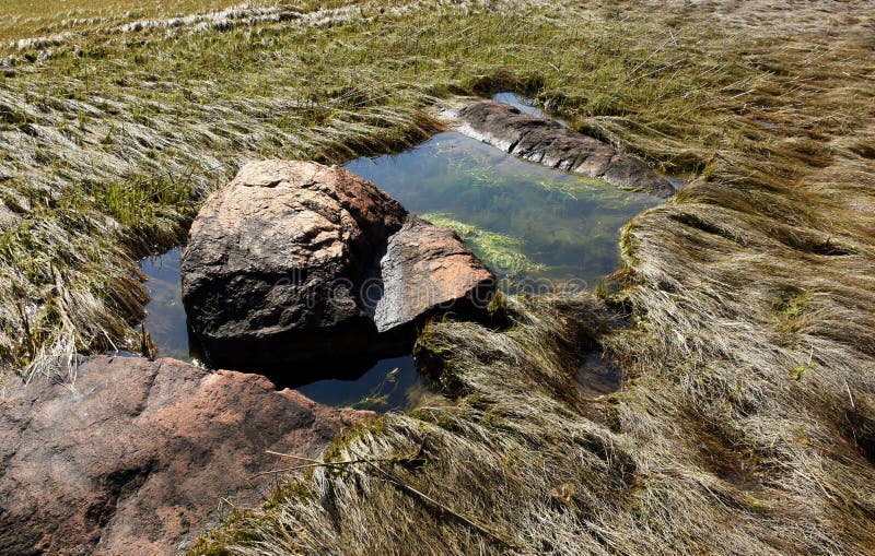 Coastal Salt Marsh with Tidal Pools on the Coast Stock Image - Image of ...