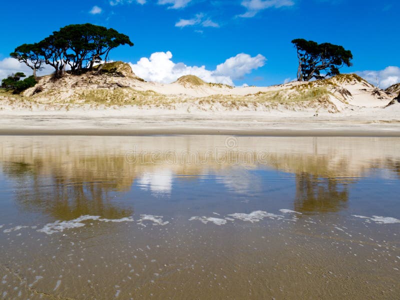 Coastal Sand Dune Reflections on Beach at Low Tide Stock Photo - Image ...