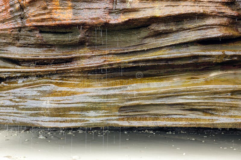 Coastal sedimentary rocks stock image. Image of nature - 356861779