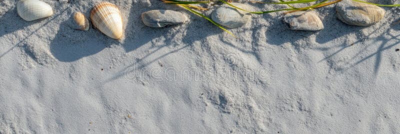 Coastal Shells and Pebbles on Sandy Beach with Natural Textures and ...